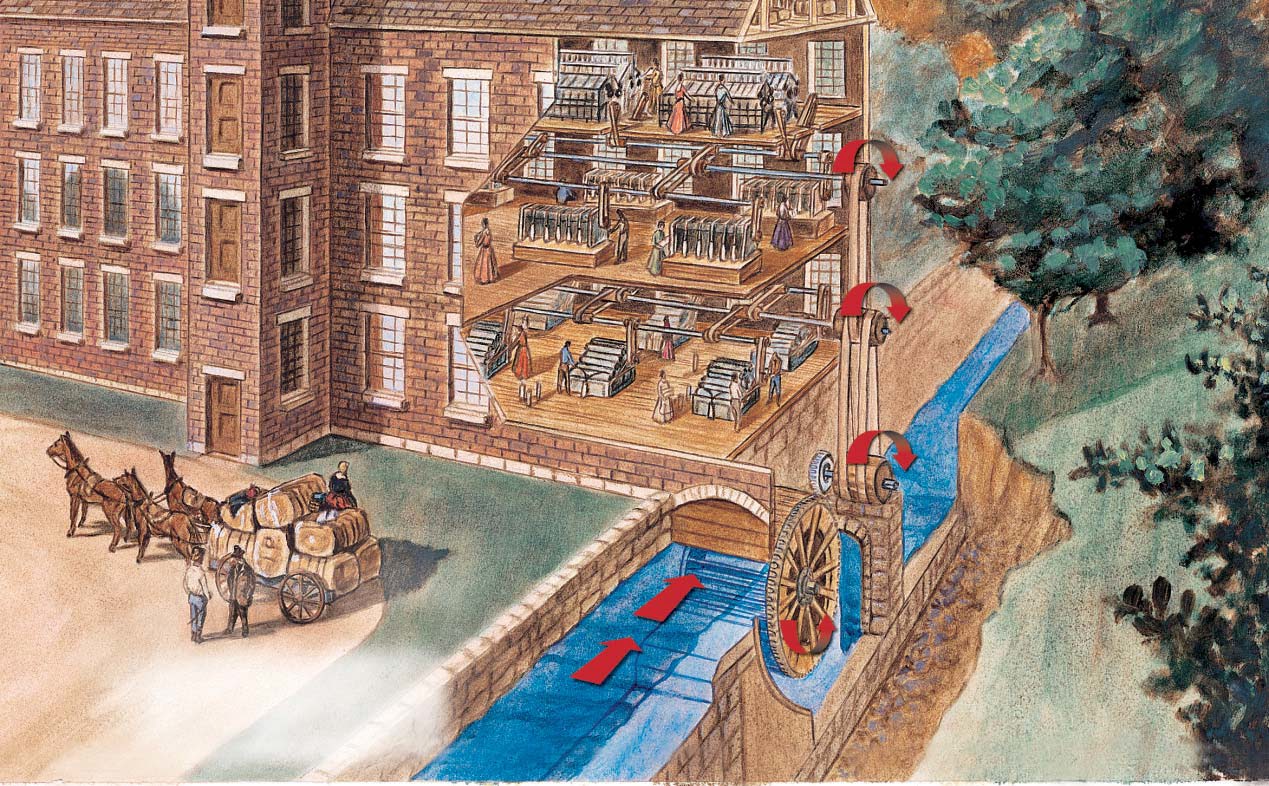 8th Grade U.S. History