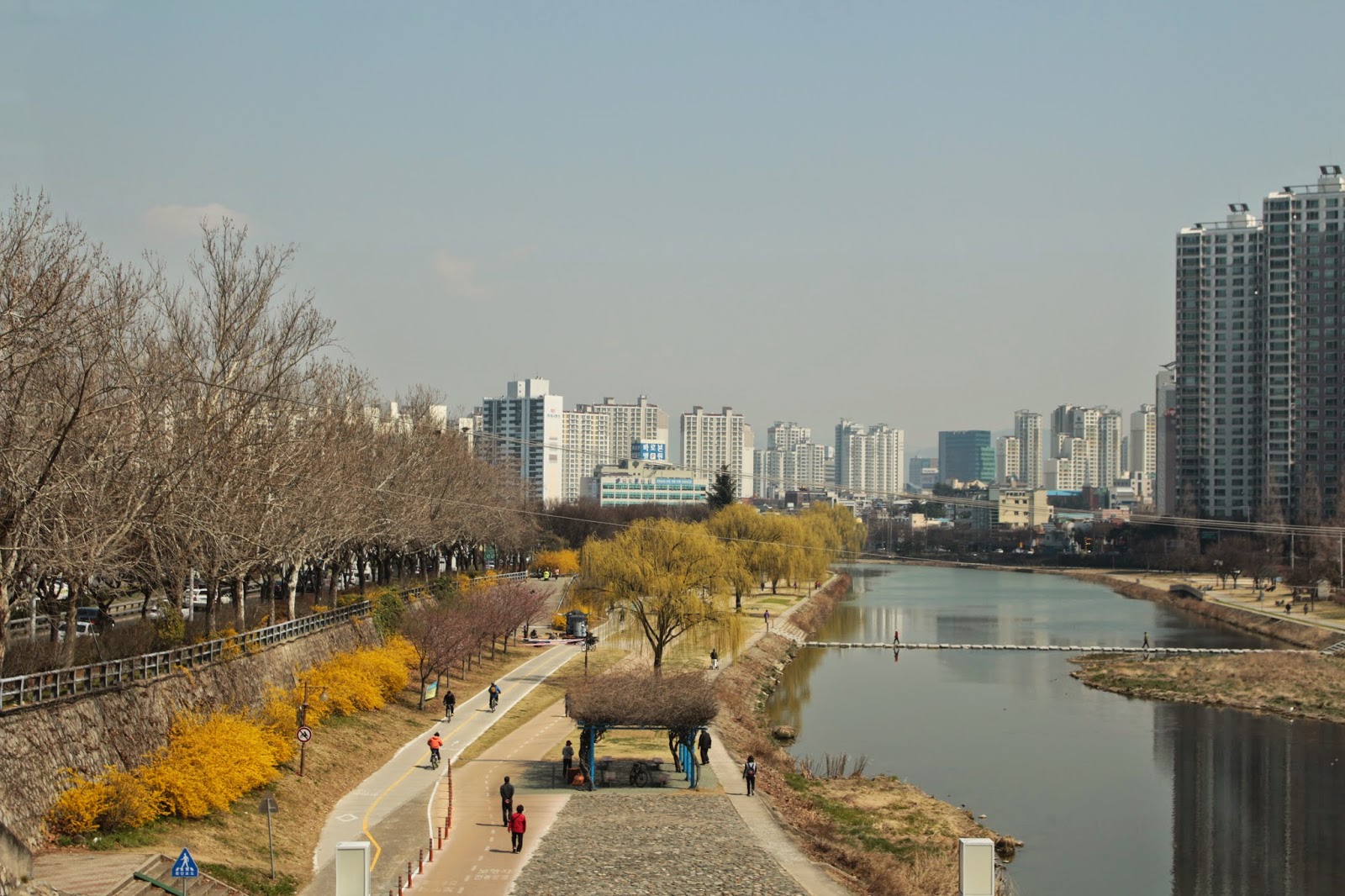 Daegu City Tour Bus: Open Top, Hop-on, Hop-off City Tour Bus for tourists