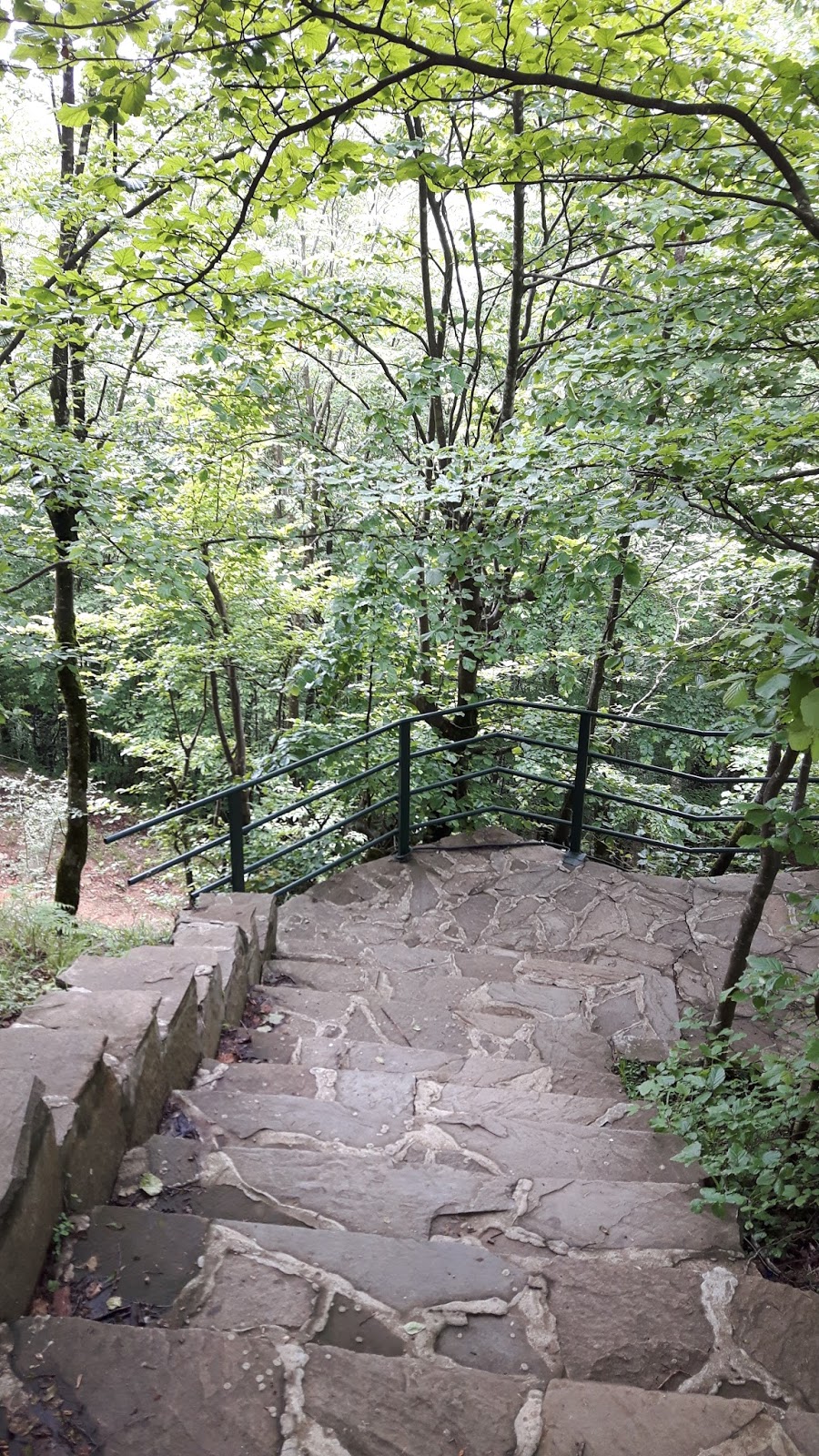Planete Joce en Iran: Ramsar (2) - La mer - Le cable car