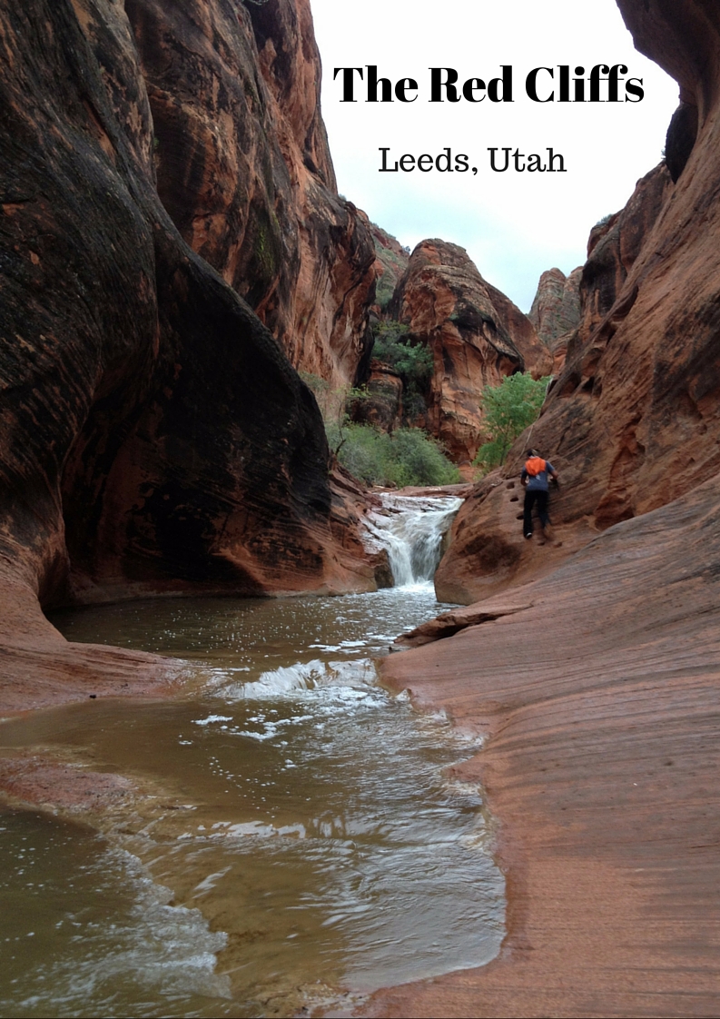 Cedar City Adventures: The Red Cliffs, Near Leeds Utah: One of Southern ...