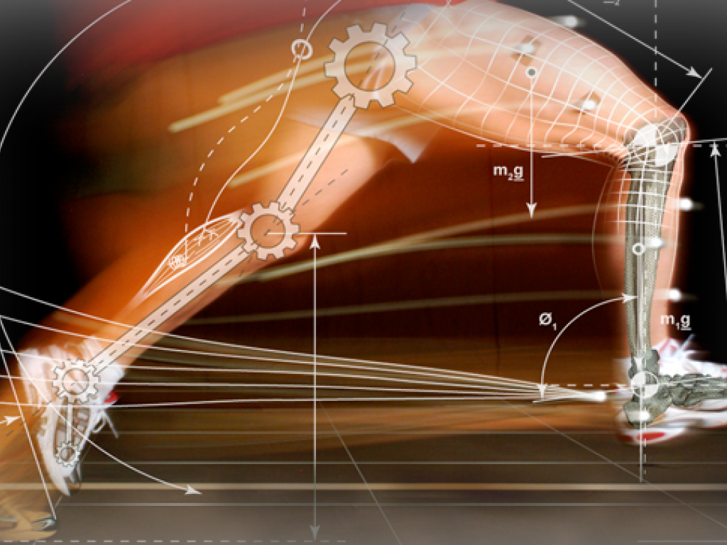 CINESIOLOGIA E BIOMECÂNICA: 2016