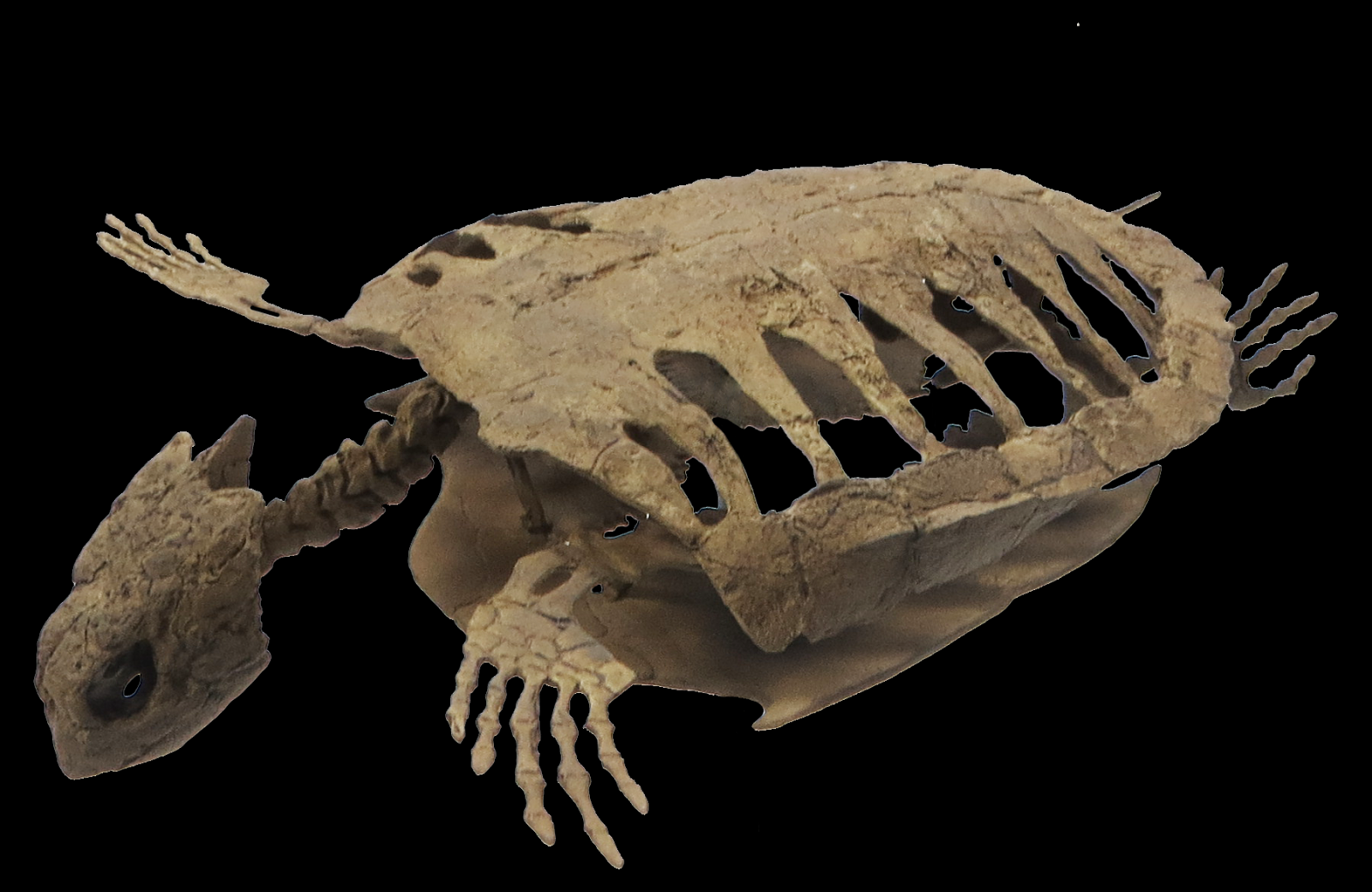 The Expeditioner's Discovery Guild: A little bit of Everything: Museums ...