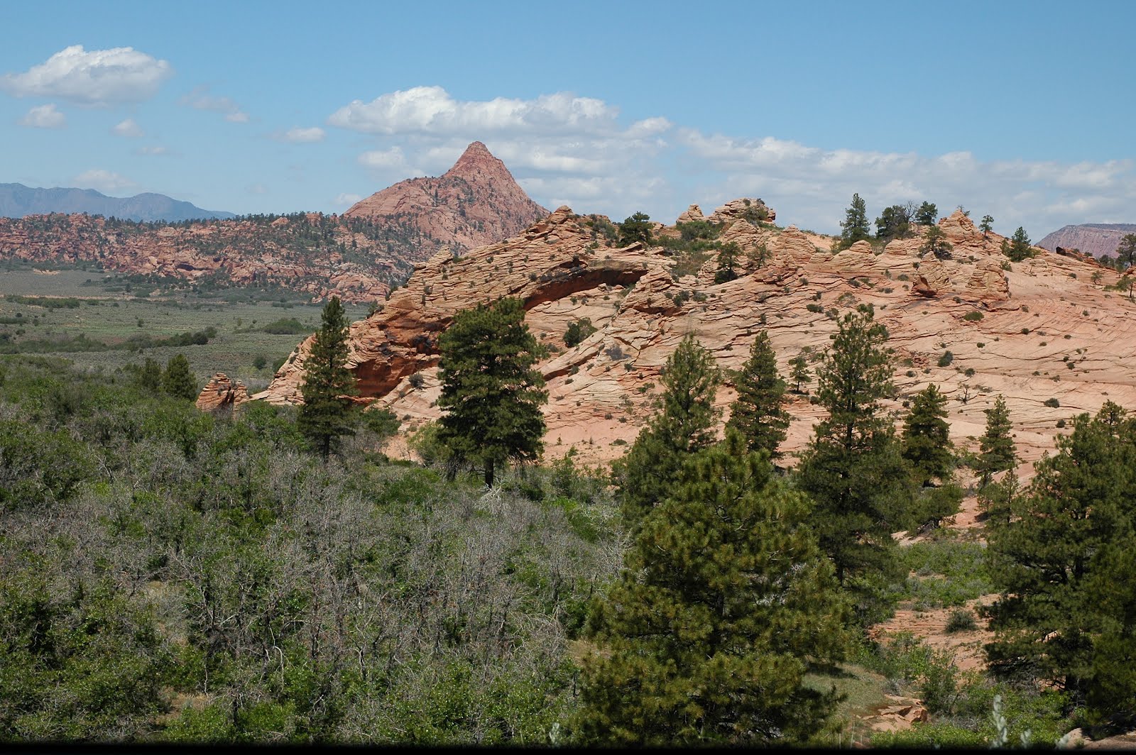 Photo and Travel Log: Zion Kolob Terrace Drive