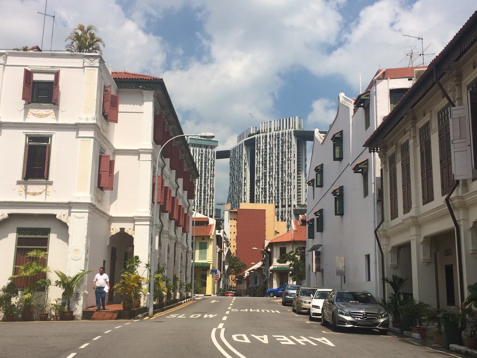 Street Art and Shophouses of the Everton Road Area