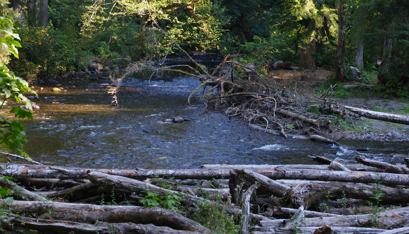 Our Trip Out West: 8/19/12 -- Leaving Lyre River and Beyond