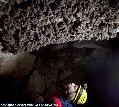 To the bat cave! rare and stunning images