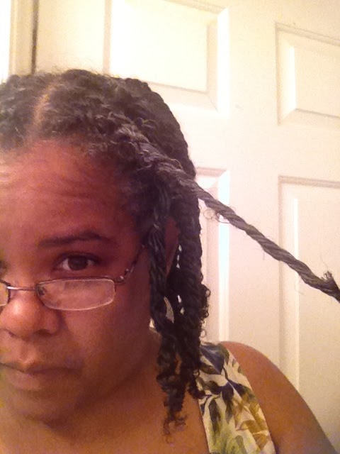 My Natural Hairstyles: How to do - Micro 2-strand twists