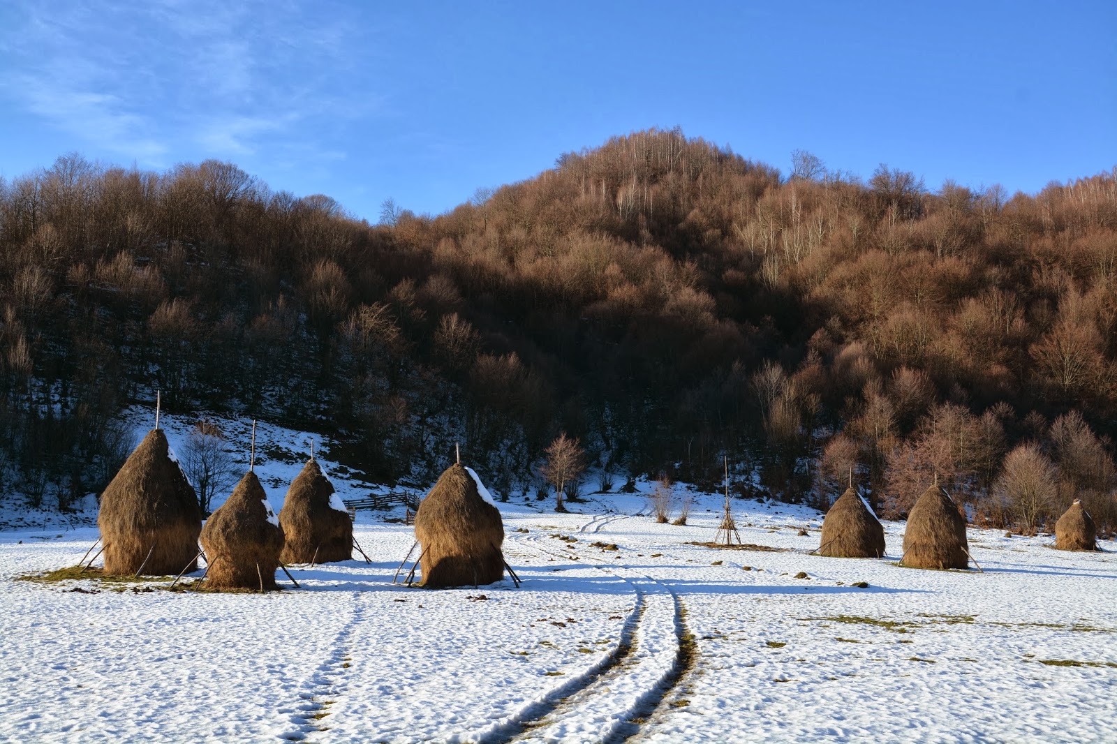 TUDOR PHOTO BLOG: Muntii Tibles Iarna,Tibles Mountains by Winter ...