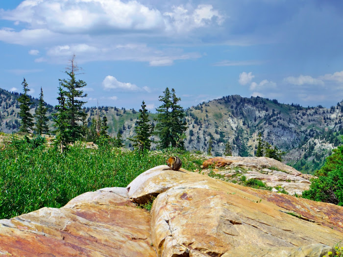 Brave: Cecret Lake Hike