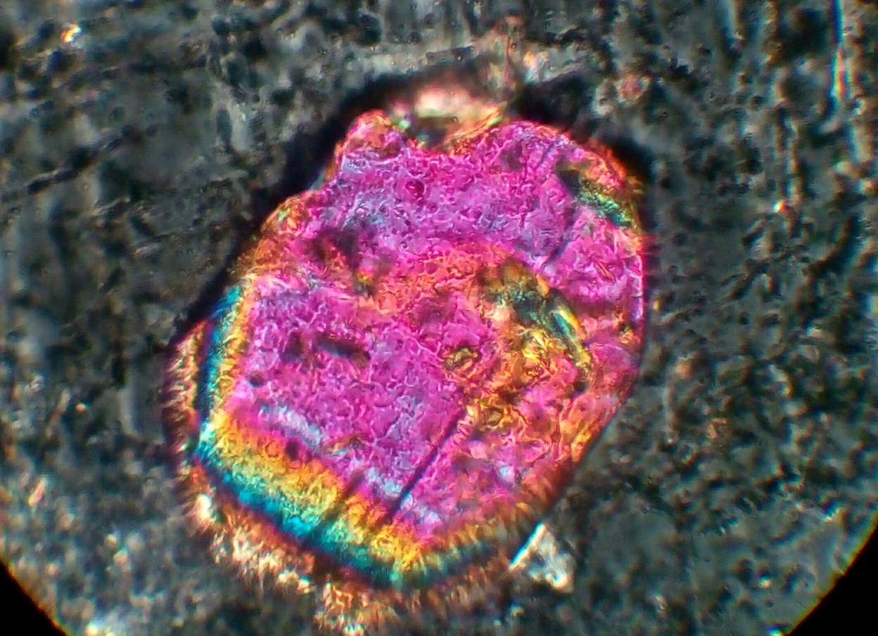 Ancient Crystals Shed Light on Earth’s Earliest History - Geology In