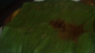 Tagalog Kitchen: How to make BIBINGKA Galapong..