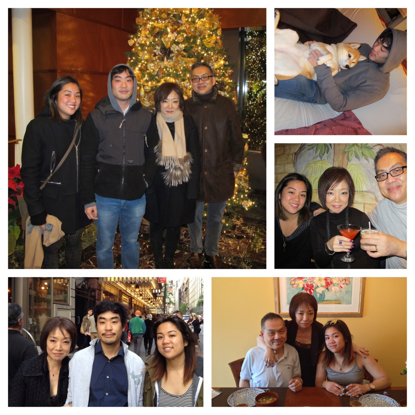 Siu Family Holiday Greetings