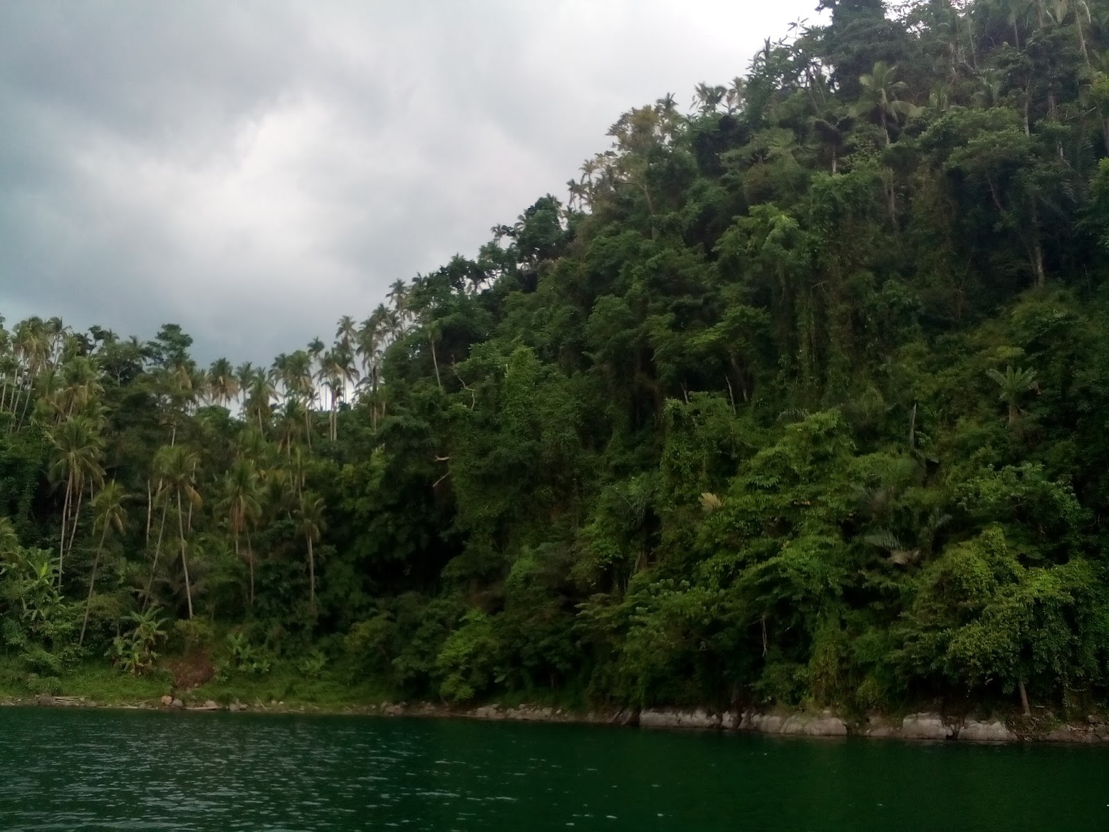 The BBBrillo Man : Yambo Lake