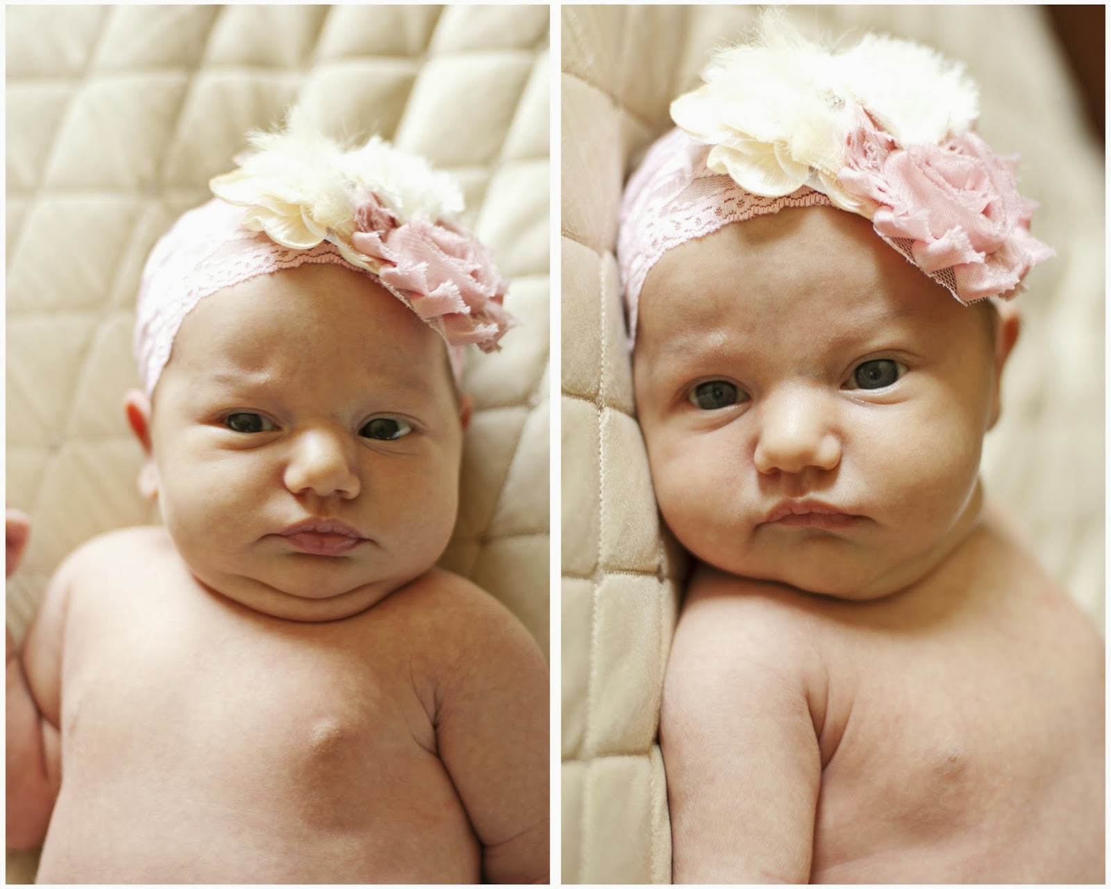 The Bailey Family: Sweet Baby Lila