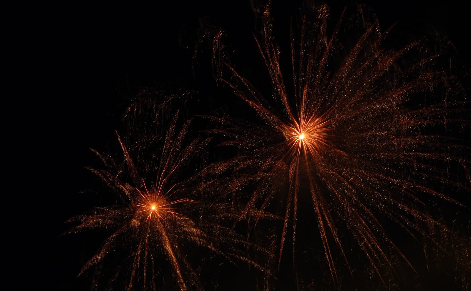 four-eyes rella: 2011-06-26