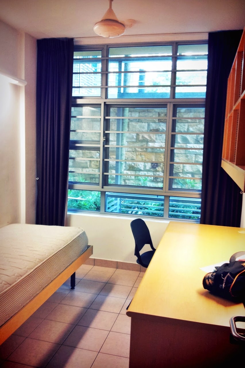 Snippets of Life's Journey: My "NTU" Experience