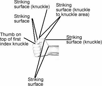 Okinawan Fighting Art "Ti": The Isshinryu Vertical Fist