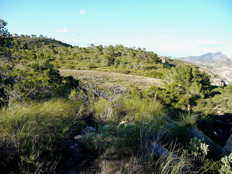 GEOELX: CERRO DEL AGUDO