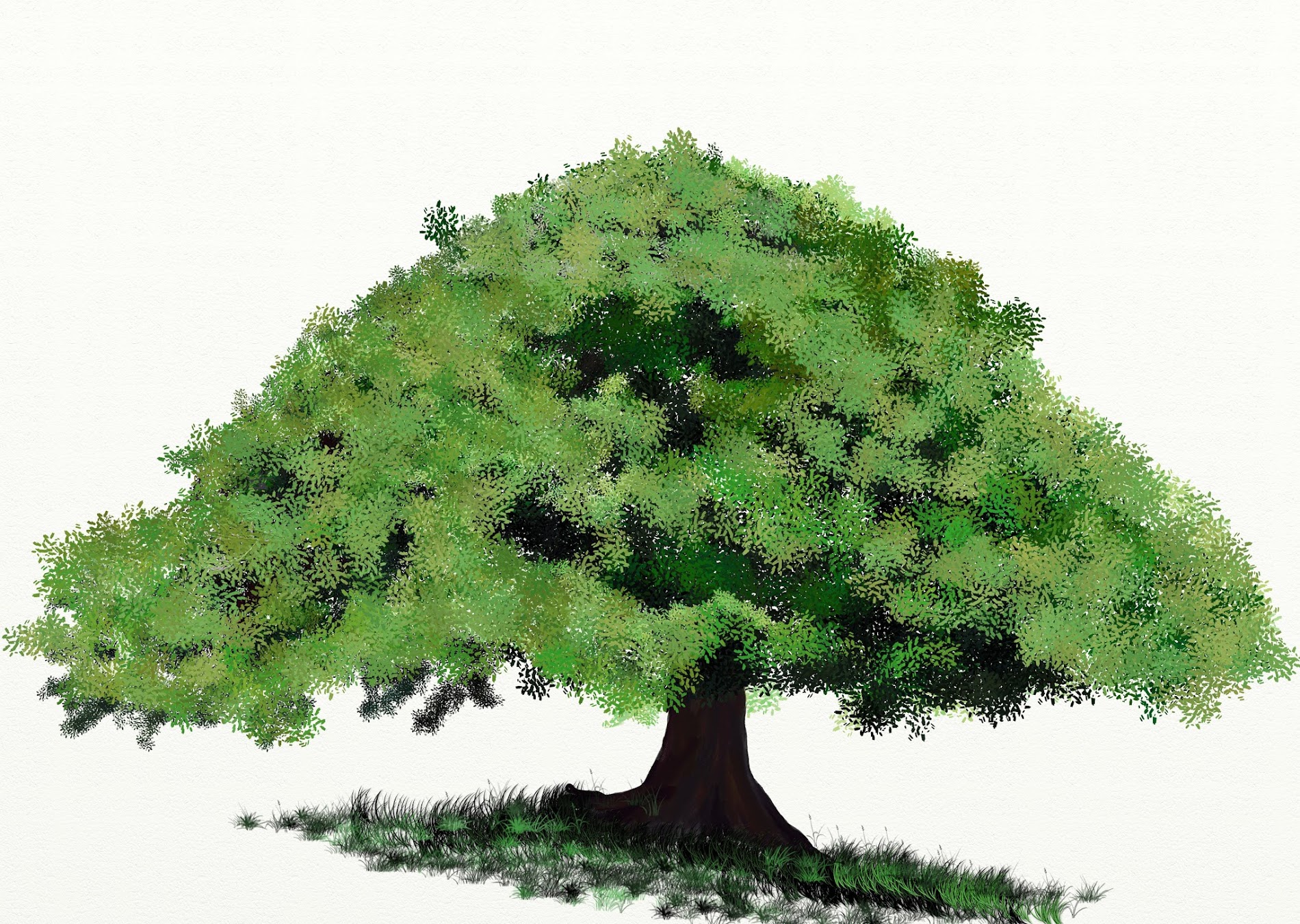 Independencia: Costa Rica