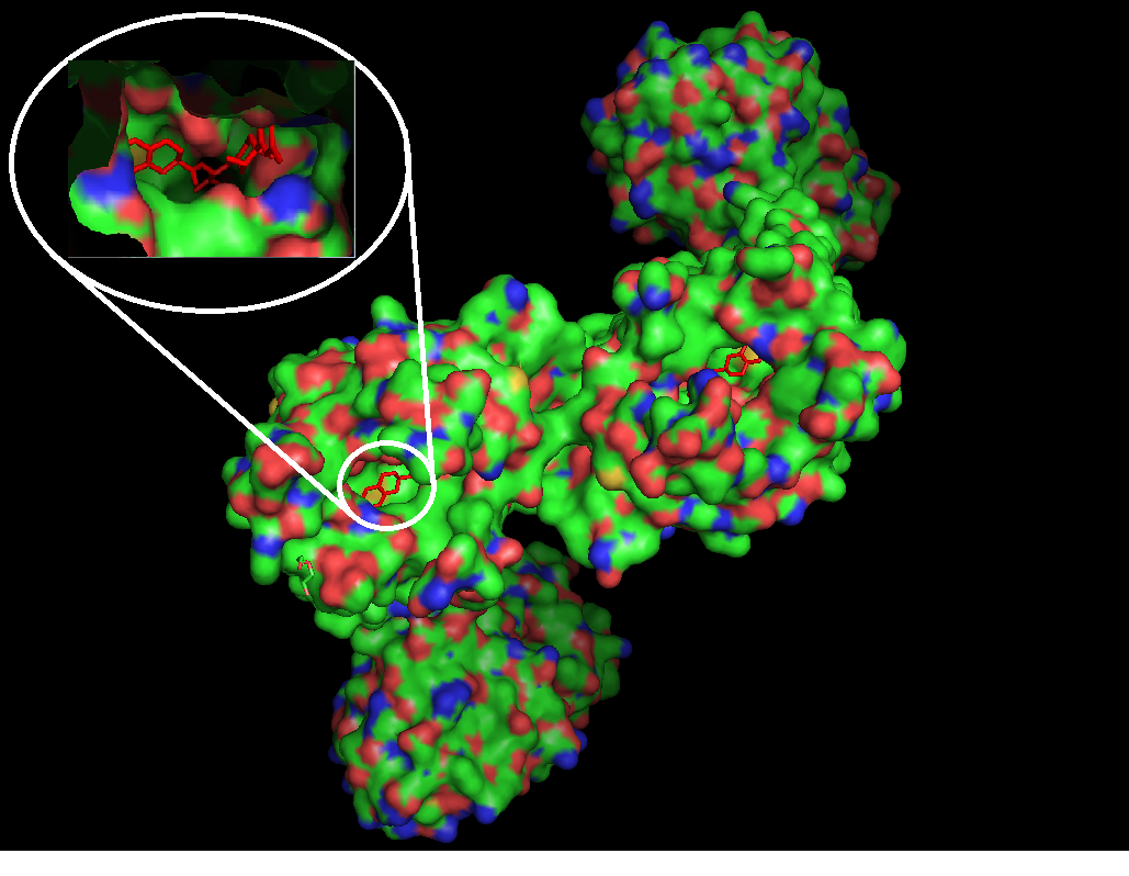 Structure Of The Human κ Opioid Jdtic Protein Ligand Complex The