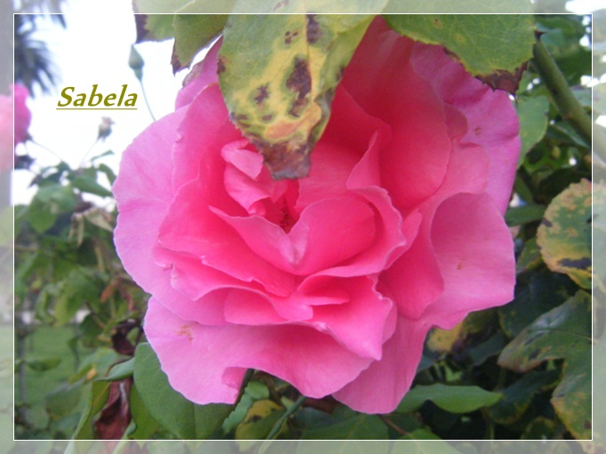 Un rincón para el atardecer: Importantísimo...