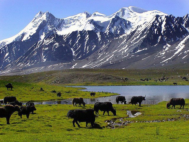 ~Truly.Pakistan~: Landforms Gallery [Various pictures are google images]