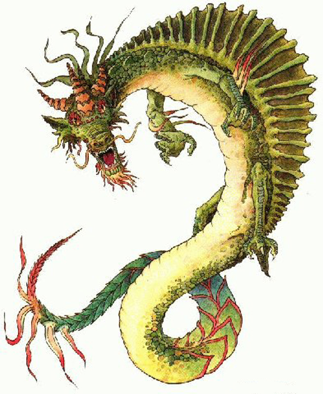About Dragons, The History Of Dragons And Much More!