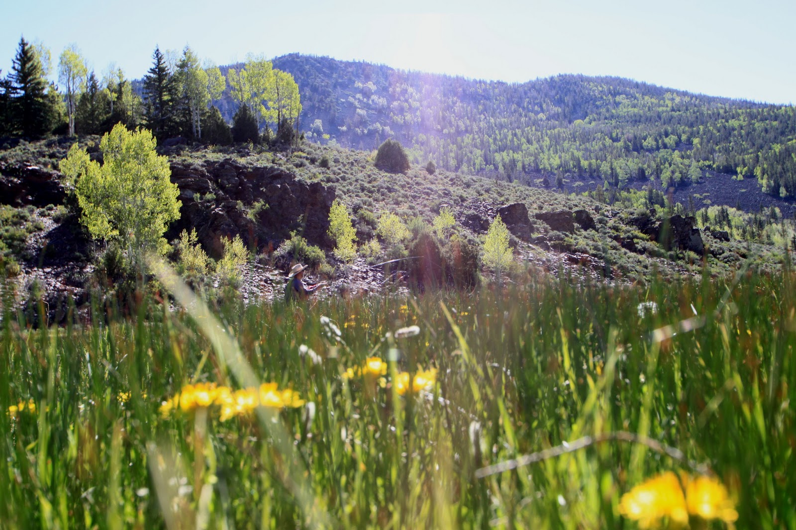 River Tales: Fremont, UM Creek, Bicknell Bottoms Kick the summer off right