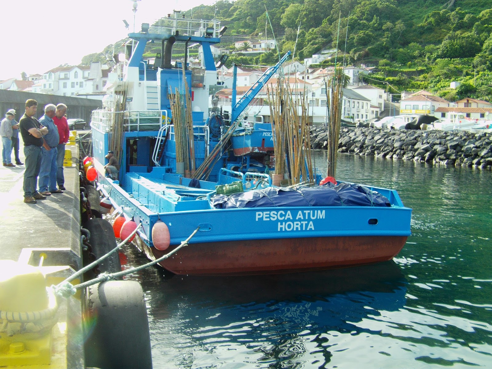 PORTO DA CALHETA: Pesca Atum