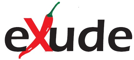 Exude: Life Coach: The new black