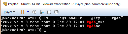 The search for animal 0-day: Linux Kernel Debugging with VMWare Player Free