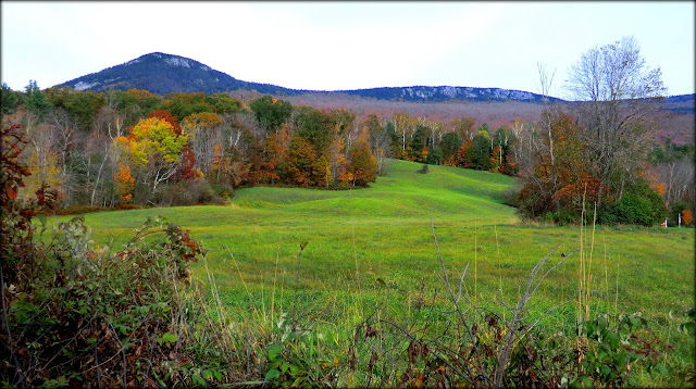 1HappyHiker: Long Pond and The Hogsback