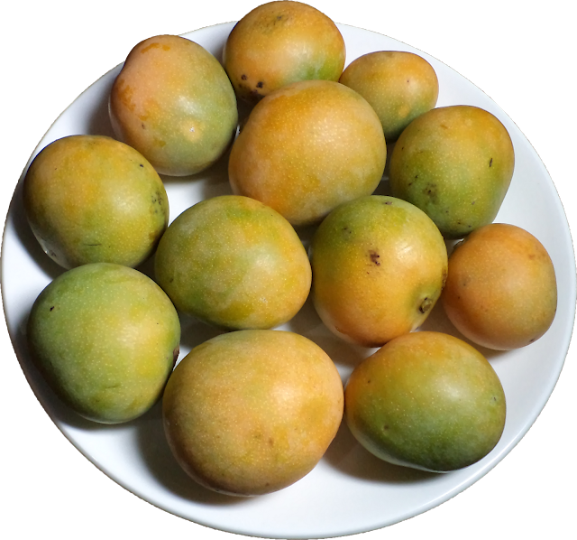 Mouthwatering Food Recipes: 264) WILD MANGO JAM