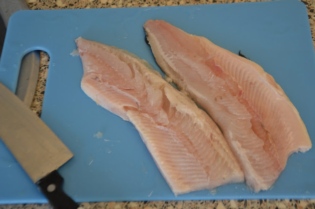 Oppdag Fisk!: Sik/European Whitefish/Coregonus Lavaretus (Ferskvann)