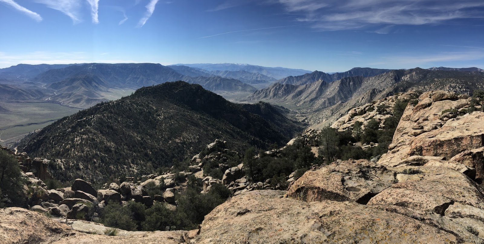 Binoculars in the Backcountry: Exploring the Canebrake Creek Area (Susan)