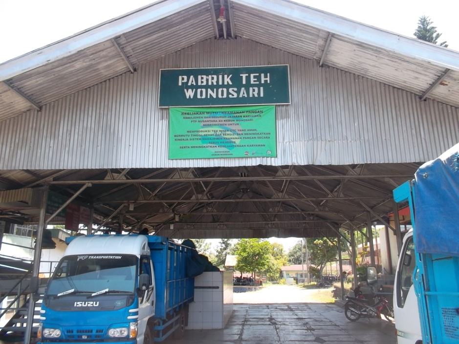 Loei Veve: PABRIK TEH WONOSARI (PT. Perkebunan Nusantara XII