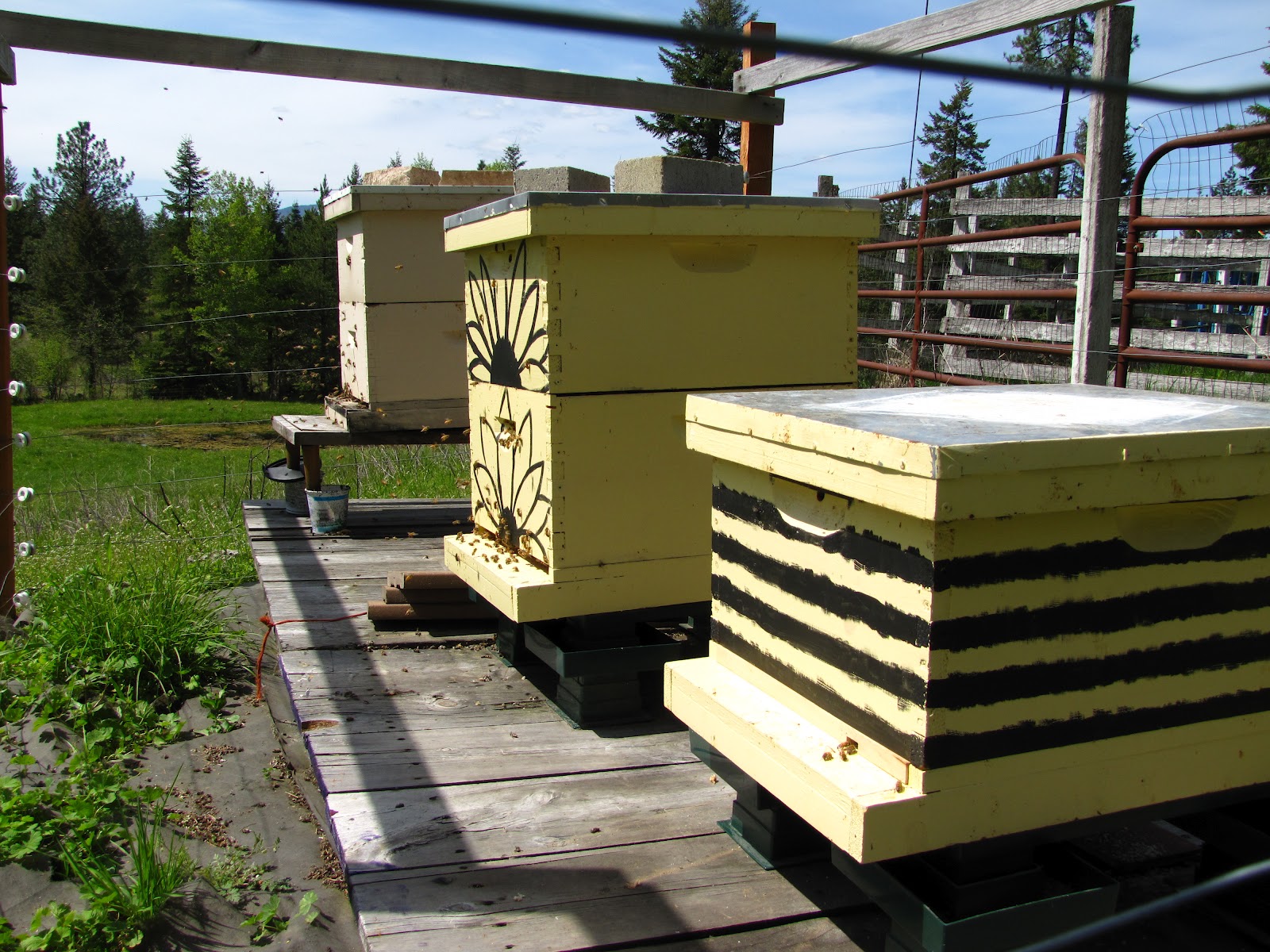 If I Can Do it Myself.....: I'm Breaking Out in Hives!