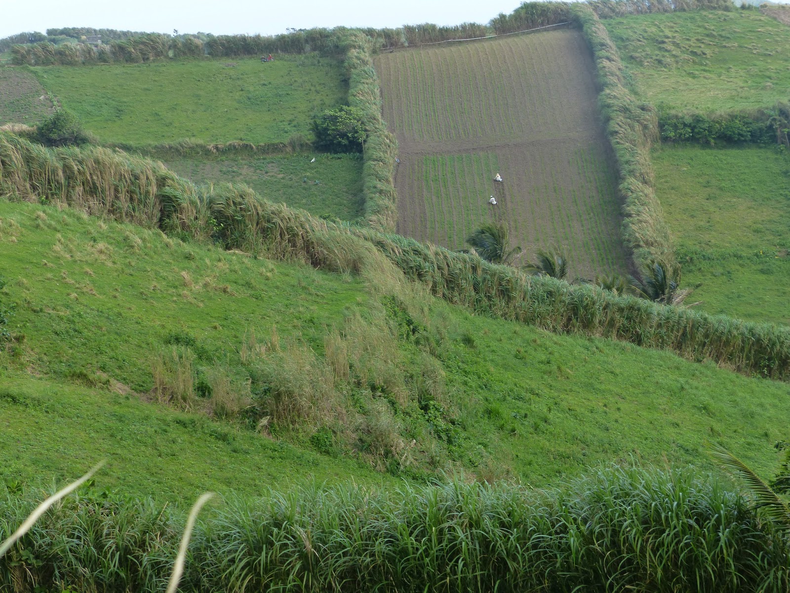 Connecting: Dateline: Mahatao, Batanes