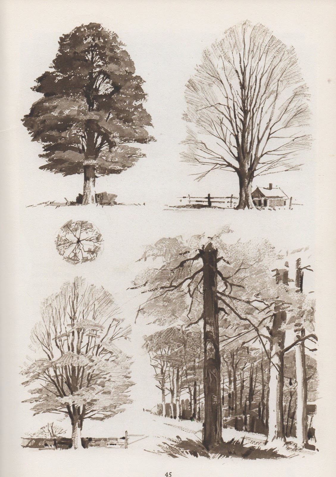 The Studio Journal: Drawing Trees