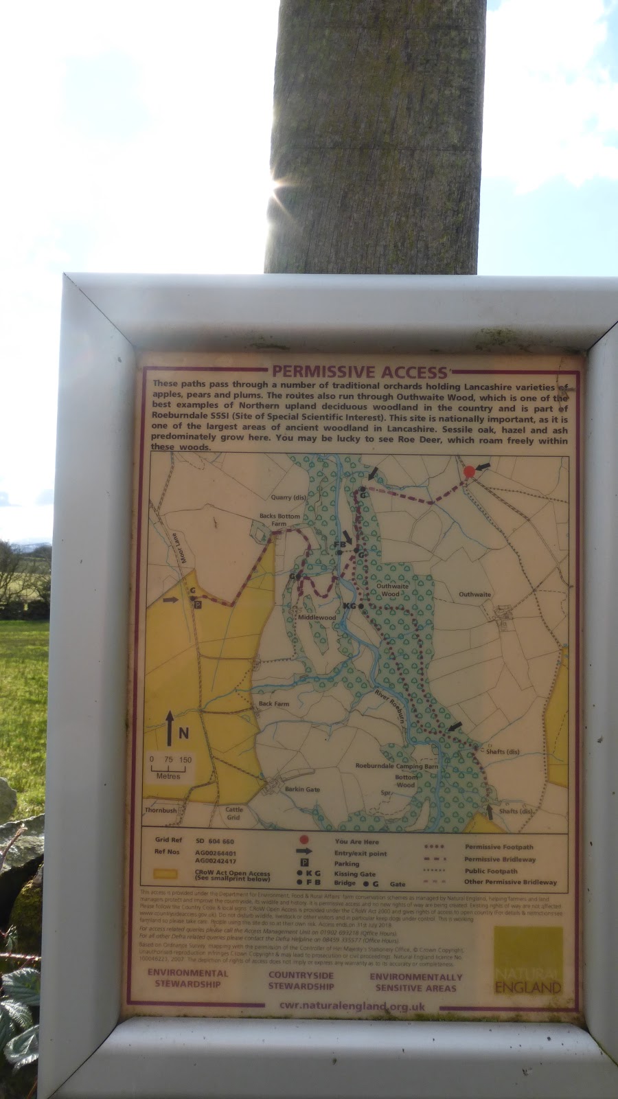 Roeburndale Camping Barn Backsbottom Farm: Walking up the Roeburndale ...