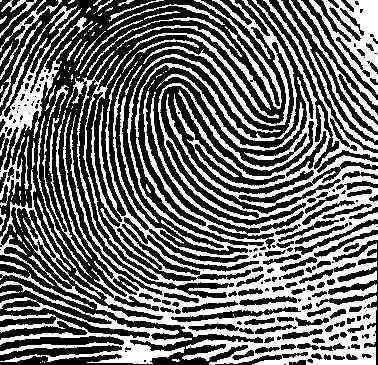 Forensics: Fingerprinting