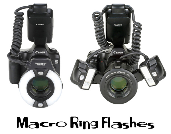 Macro Photography Tips