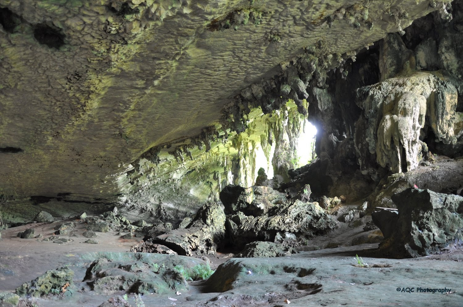 Niah National Park - Niah Cave Experience, Miri Malaysia [Part 2 ...