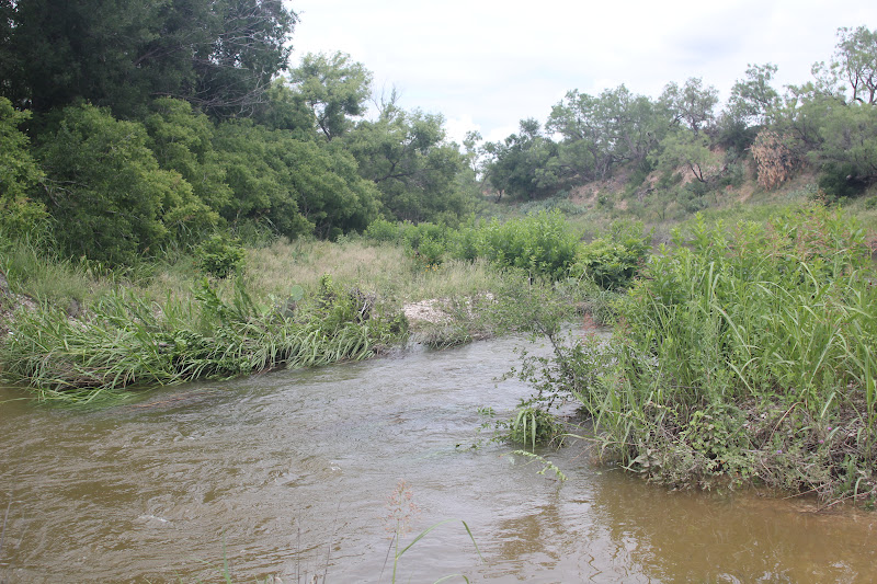 Robert's Road Ramblings: San Angelo State Park, San Angelo, TX ...