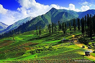 BEAUTY FULL PAKISTAN: Kaghan Valley Pakistan