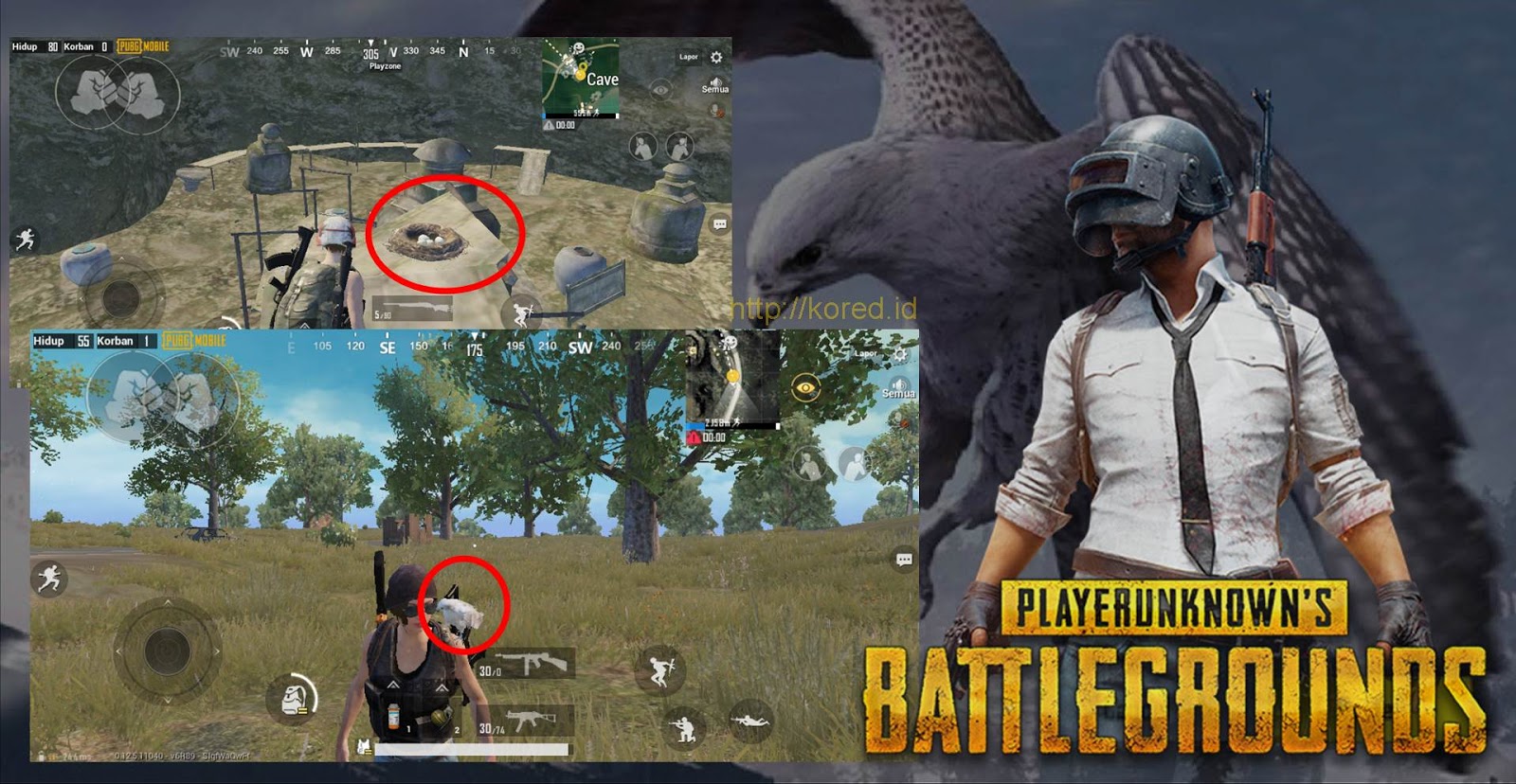 Inilah 5 Lokasi Companion Telur Burung Falcon Pubg Mobile Season 7 ...