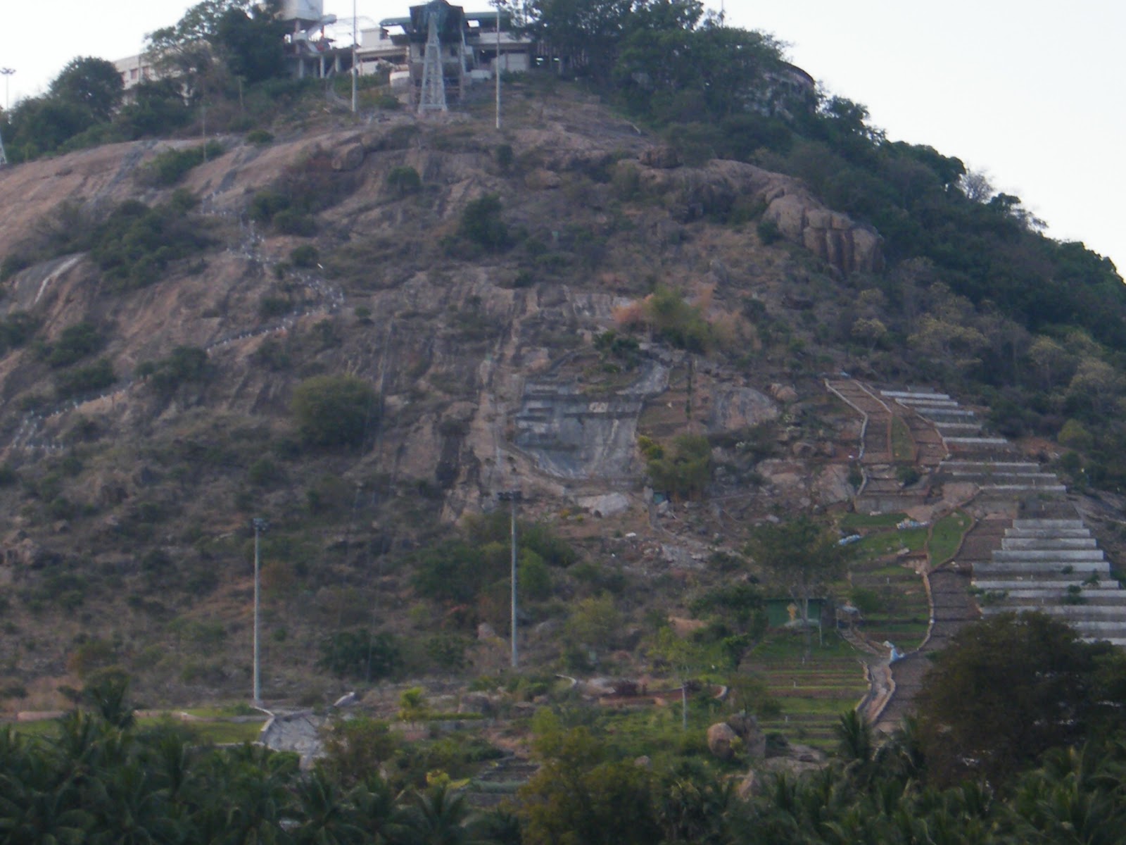 KODAIKANAL TRAVEL VIEWS: PALANI TEMPLE