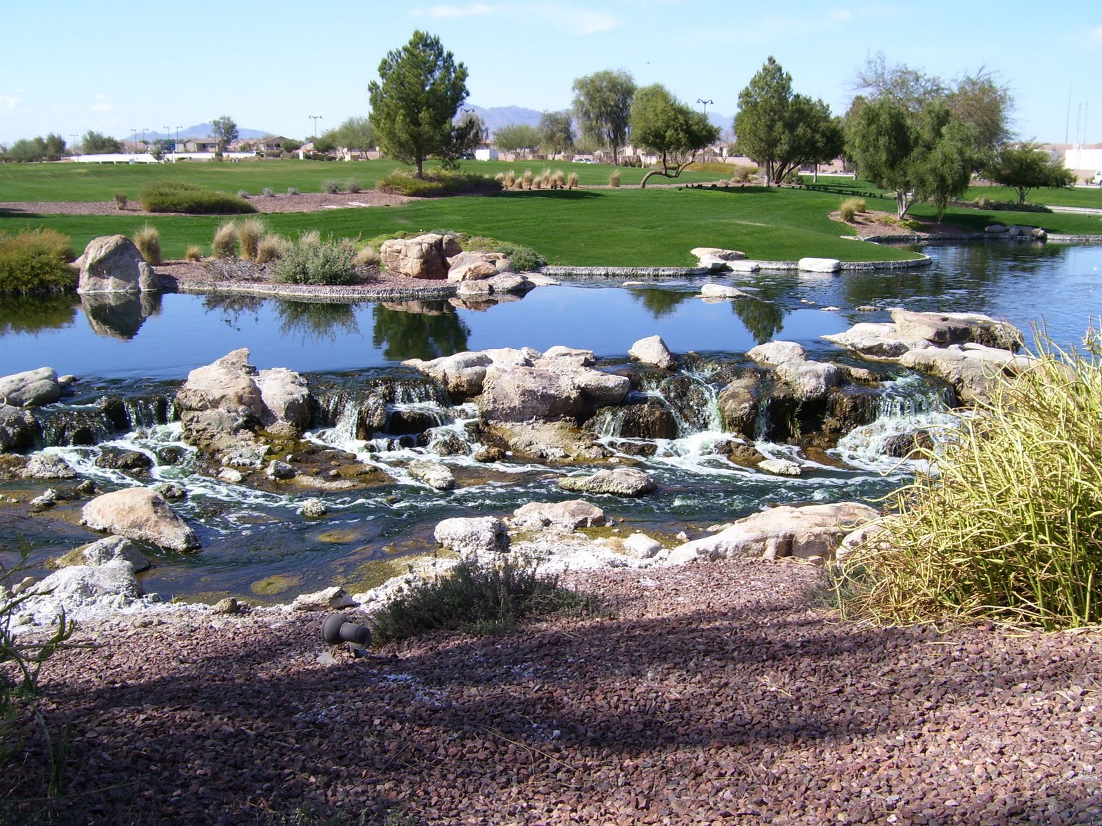 Homes for Sale in Province in Maricopa, Arizona - Province community