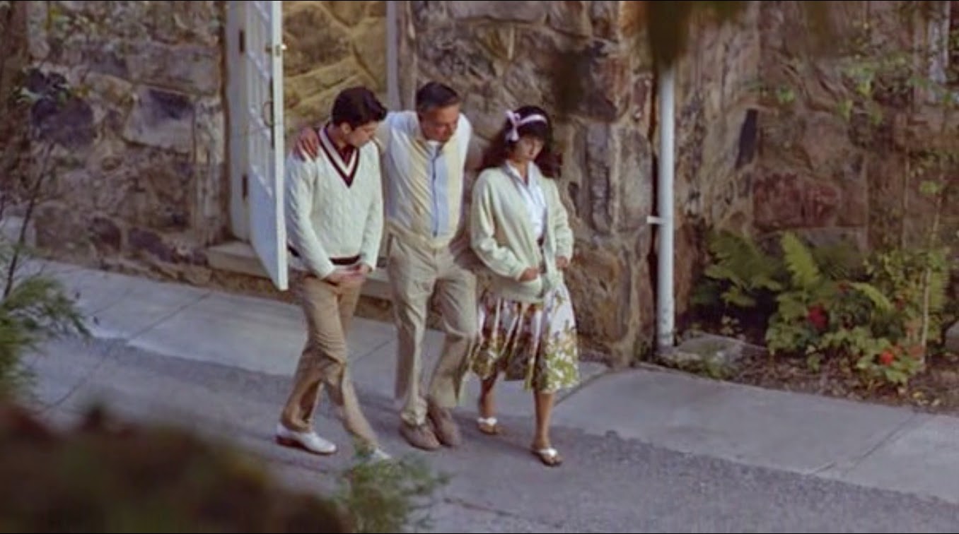 Dirty Dancing Analysis: Lisa Houseman and "Hooking Up Smart"