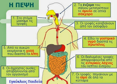 Κλικ στη μάθηση